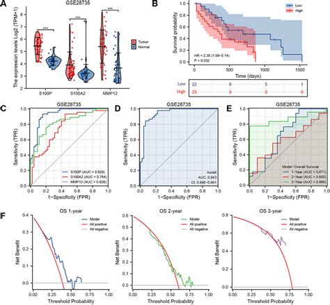 Validation Of Paad Irgs With Gse28735 A Expression Level Of 3 Irgs