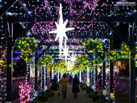 Flower Illumination2015の夜景壁紙写真旅人太郎