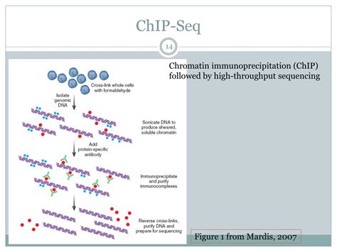 Ppt Introduction To Next Generation Sequencing Powerpoint