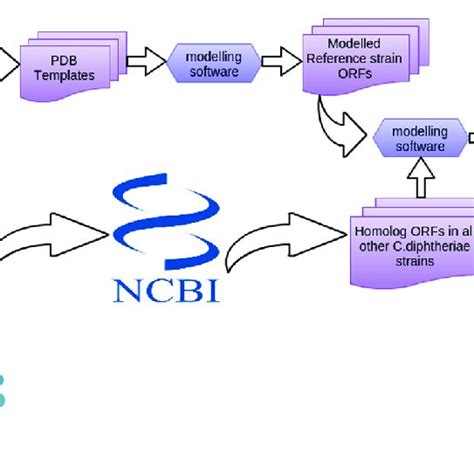 Overview Of Pipeline Components For Data Analysis Download Scientific Diagram