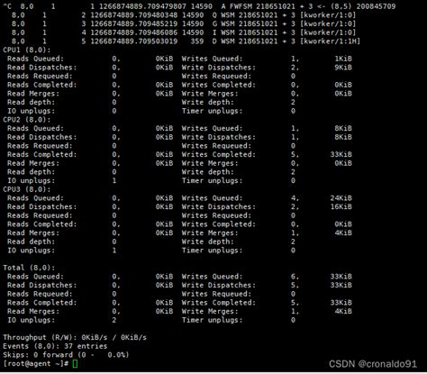 性能分析与调优 Linux 磁盘io 观测工具linux查看io性能 Csdn博客