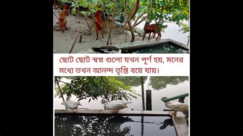ছোট ছোট স্বপ্ন গুলো যখন পূর্ণ হয় মনের মধ্যে তখন আনন্দ তৃপ্তি বয়ে