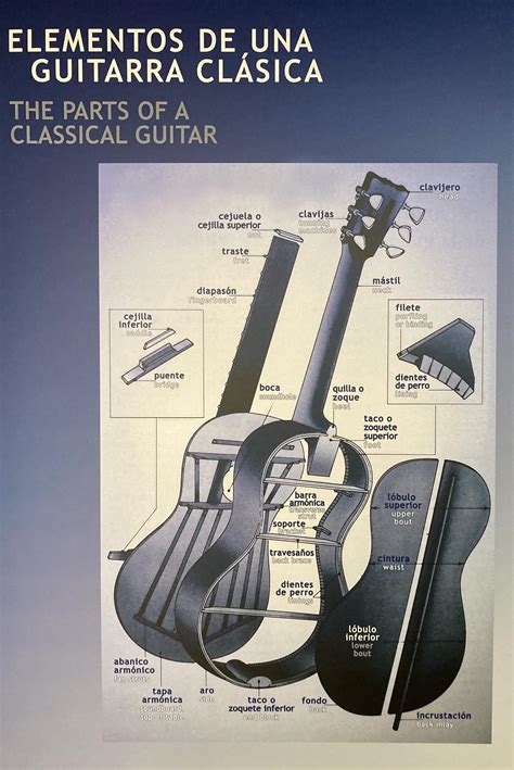 The Parts Of A Classical Guitar Rcoolguides