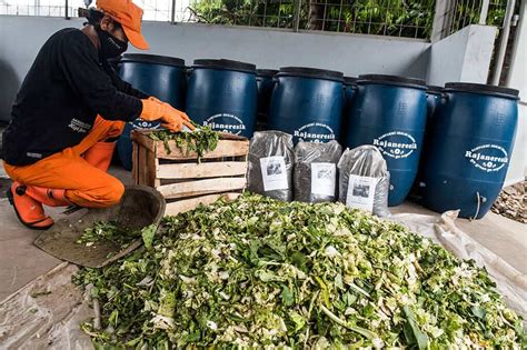 Inovasi Pakan Ternak Limbah Sayuran Pasar Tradisional Yang Sederhana