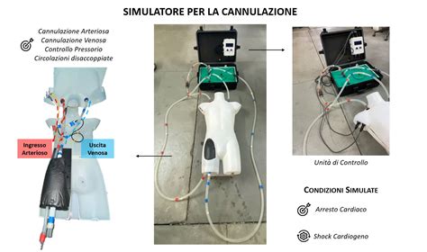Ecmo Cannulation Simulation Compmech