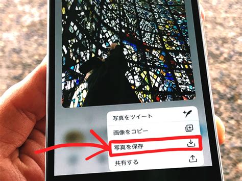 相手にバレる？ツイッターで写真保存のやり方・保存できない3つの原因まとめ【twitter】 毎日が生まれたて