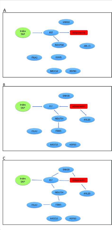 Graphic Results For Causal Network Analysis Of Metabolic Syndrome In