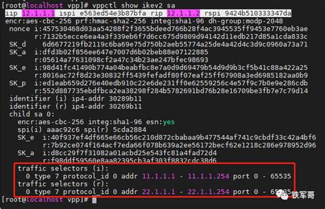 Vpp配置指南：基于ikev2的ipsec Vpn 知乎