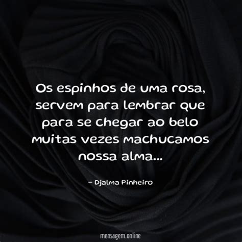 Rosas Espinhos Os Espinhos De Uma Rosa