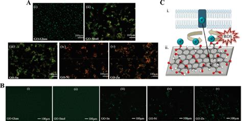 Electron Transfer Directed Ros Generation And Antibacterial Activity