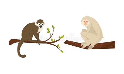 Mono Con Chimpancé Sentado En El Conjunto De Vectores De Rama De árbol