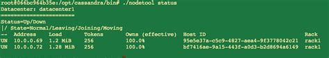 amazon web services cassandra docker container does not join cluster