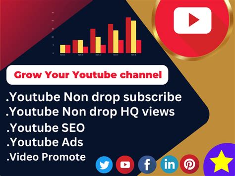 Youtube Expert Youtube Increase Views And Subscribers Upwork