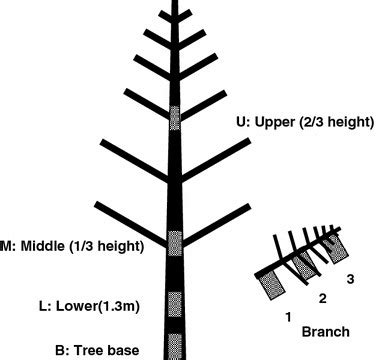 The Plot Sampling Design Used All Plots Are 25 Cm 50 Cm Download Scientific Diagram