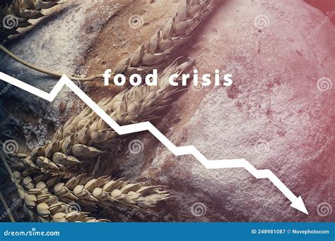Food Crisis Failed Grain Harvest The Shortage Of Bread Aggressive