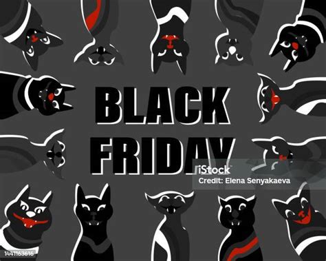 블랙 프라이데이 광고 배너입니다 검은 고양이와 비문이 있는 재미있는 그림 벡터 Publicity Event에 대한 스톡 벡터 아트 및 기타 이미지 Publicity