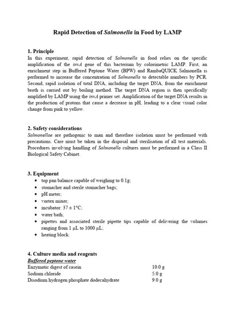 Report Rapid Detection Of Salmonella In Food By Lamp Nhóm 6 Pdf Polymerase Chain Reaction