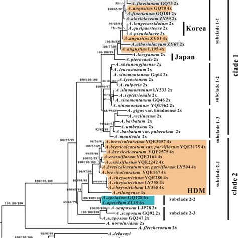 The Best Scoring Maximum Likelihood Ml Tree Inferred From The