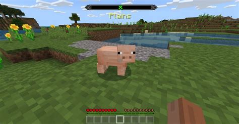 Skyrim Compass Add On For Minecraft Pe 1 17 34