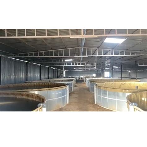 Recirculating Aquaculture Systems At Best Price In Vadodara Gujarat Sai Systems