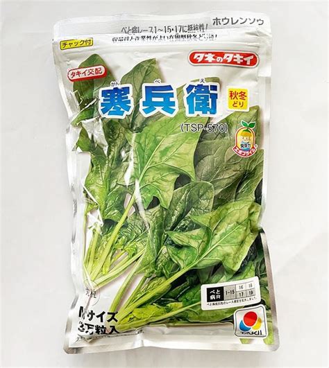 Jp タキイ種苗 ホウレンソウ種子 寒兵衛 M3万粒 Diy・工具・ガーデン