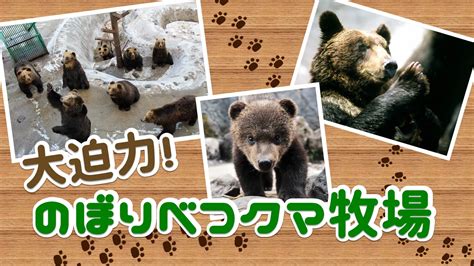 旅介tv