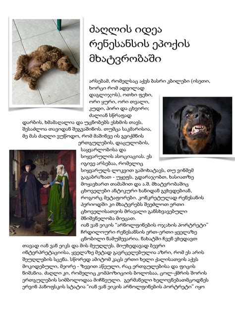 დავალება 2 ლიტხელი Pdf