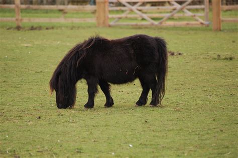 Fellabella | Isnt he cute! | liffeybelle | Flickr