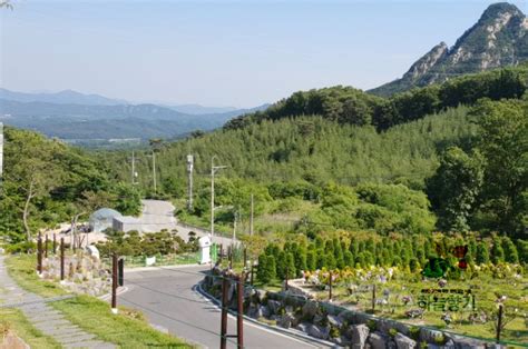 다하다 추모공원 양주 하늘계단 수목장 봉안