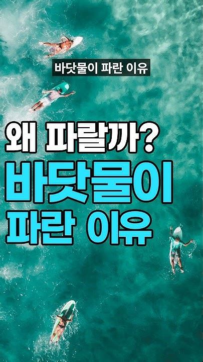 바닷물이 파란 이유 Shorts Youtube