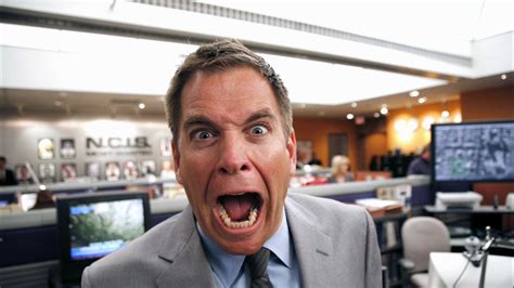 Tony Dinozzo Ncis Wallpaper 35415855 Fanpop