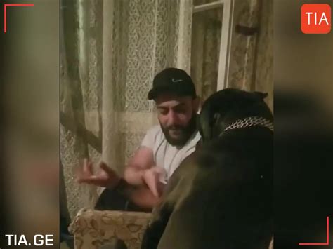 😂 კანე კორსო პატრონის საყვედურებს ისმენს… By Tia Ge