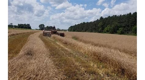 Dnr Cover Crop Seed Program Delivers Positive Results Morning Ag Clips