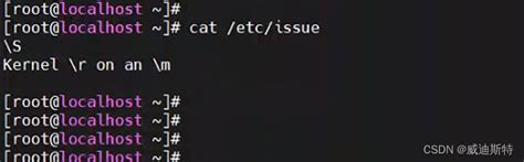 一个命令查看linux系统是centos还是ubuntu 怎么看系统是不是ubuntu系统 csdn博客