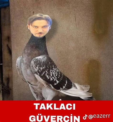 Sarp Bu Bizim Kuş R Taklaking1