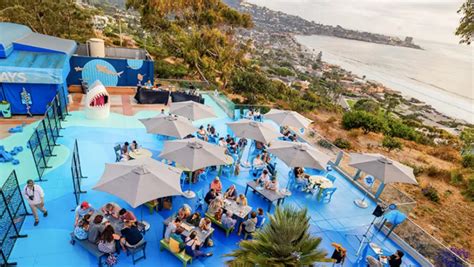 Birch Aquarium Jumps On Shark Craze With Shark Summer Special Oceans