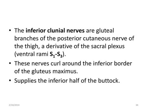 Gluteal Region Complete Pptx