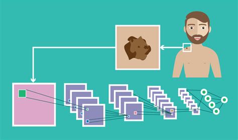 Melanoma Classification GitHub Topics GitHub