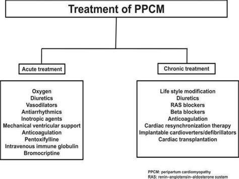 Postpartum Cardiomyopathy Case Ppt