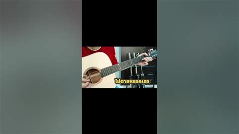 ลองร้องดู ไม่ตายหรอกเธอ Loso โลโซ เสกโลโซ Guitarcover Guitarlover