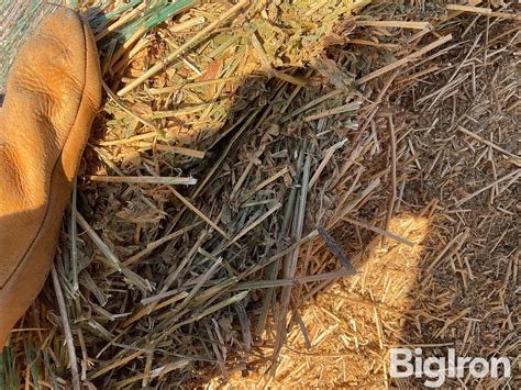 Alfalfa 2nd Cutting Hay Big Round Bales Bigiron Auctions