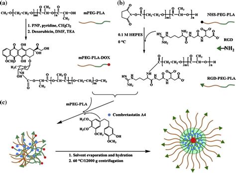Preparation Of RFPMs DOX CA4 A Schematic Illustration For The