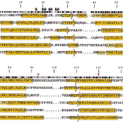 Structure Based Sequence Alignment Of Scf With Other Short Chain Download Scientific Diagram