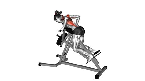 Ultimate Guide Female Lever Reverse T Bar Row Video And Tips