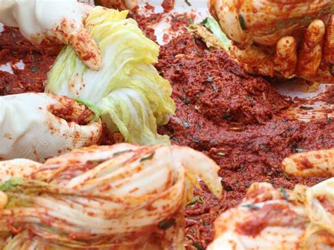 더쿠 매일 2~3회 김치 먹으세요…비만 발병률 12 낮아집니다