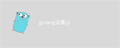 golang set ip golang php cn