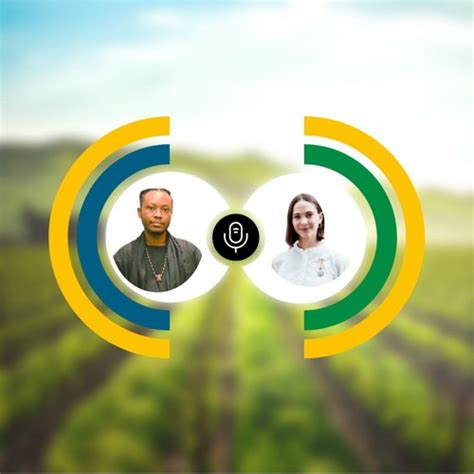 Stream South Africa In Focus Advancing Just Energy Transition In South