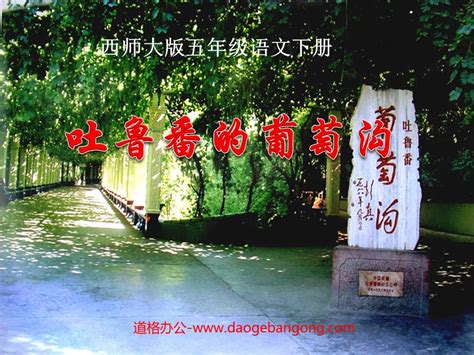 《吐鲁番的葡萄沟》ppt课件3 西师大版五年级语文下册 免费ppt模版下载 道格办公共享平台