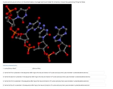 Solved QUESTIONS IN THE PICTURE Is This DNA Or RNA Chegg