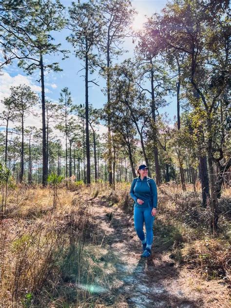Hiking 101 How To Start Hiking And Enjoy The Great Outdoors Next